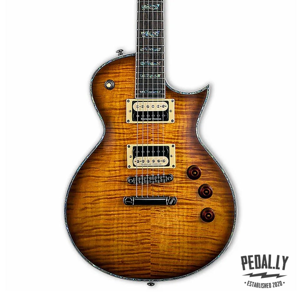 Vintage VE660WK Paul Brett Signature 'Stateboro' Orchestra Acoustic ...